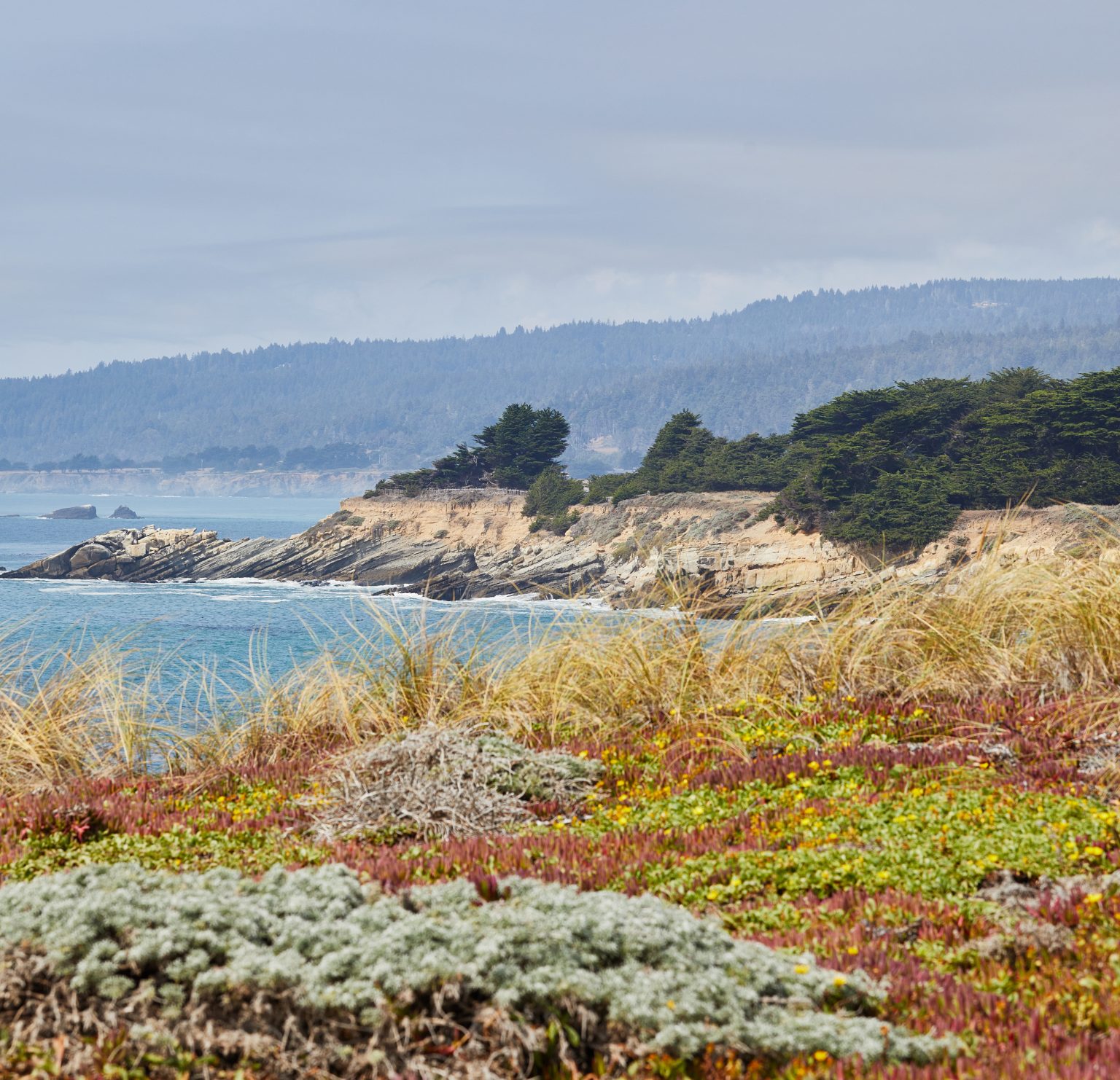 Experience – Mar Vista